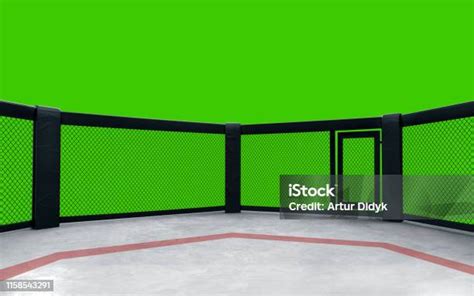 3d 렌더링 Mma 경기장 Mma 팔각형 케이지 우리에 대한 스톡 사진 및 기타 이미지 우리 혼합 무술 쇠사슬 담장 Istock