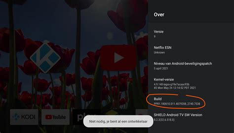 Enable ‘network Debugging