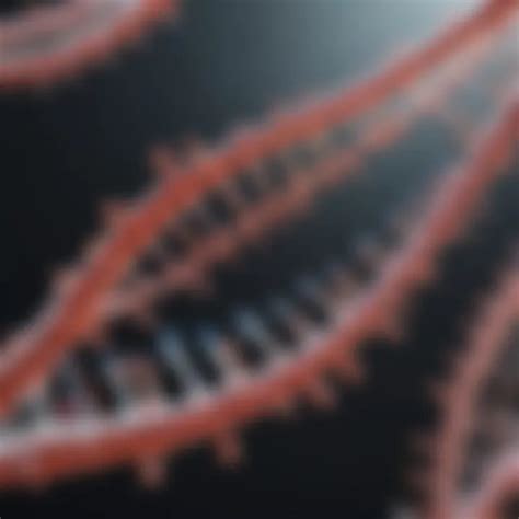 Understanding Rna Types And Their Functions In Biology Understanding Rna Types And Their Functions In Biology