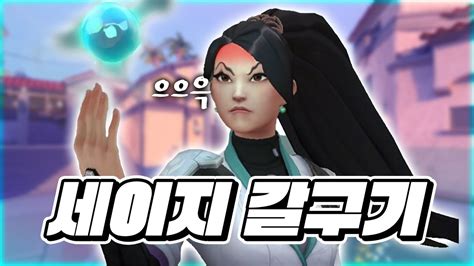 스돌에서 만난 여대생 세이지 갈궜습니다 ㅋㅋㅋ [ 발로란트 ] Youtube