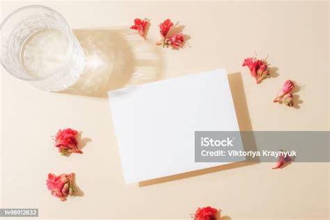 빈 종이 카드 붉은 말 밤나무 꽃 중성 베이지색 배경에 거친 그림자가 있는 물 한 잔 인사말 카드 평면도 플랫 레이 모형 0명에 대한 스톡 사진 및 기타 이미지 Istock