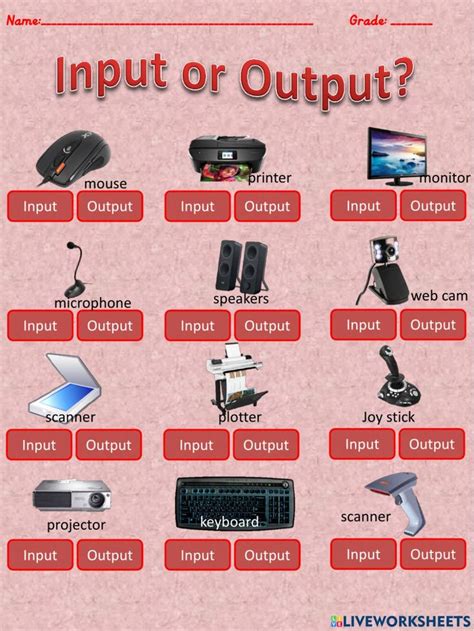 Input Or Output You Choose Worksheet