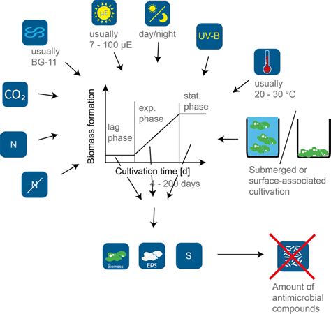 Schematic Overview Of Cultivation Parameters That Can Influence The