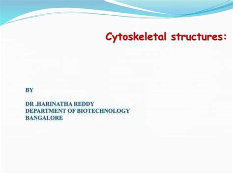 Cytoskeleton Structure Microfilaments Microtubules And Intermediate