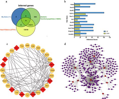 Relationship Between Hub Mitodegs And Dcm Hf Hub Mitodegs Tfs Mirnas Download Scientific