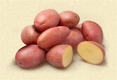 Сорт картофеля «Альвара» – описание и фото