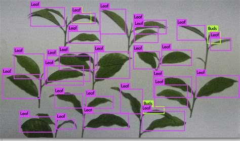 issue while testing through a video file · issue 1343 · pjreddie