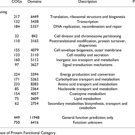 Cog Functional Categories Download Table