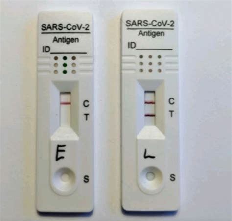 Sars Cov 2 Rapid Test Kit At ₹ 25 Piece Rapid Antigen Test Kit In