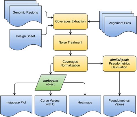 Metagene Workflow A Metagene Analysis Requires 3 Types Of Inputs 1 A