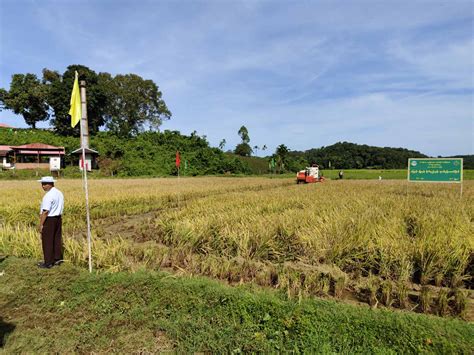 တနင်္သာရီတိုင်းဒေသကြီး အစိုးရအဖွဲ့ဝန်ကြီးချုပ် ဦးမြတ်ကို မြိတ်မြို့