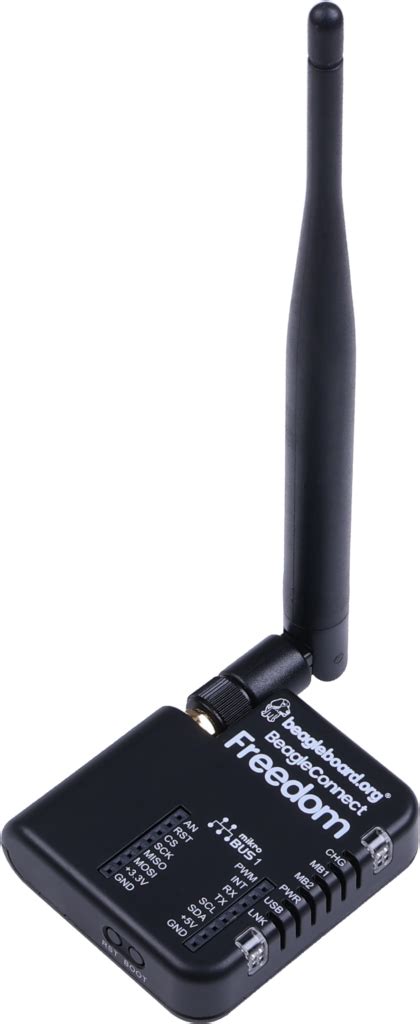 Board Selection BeagleBoard