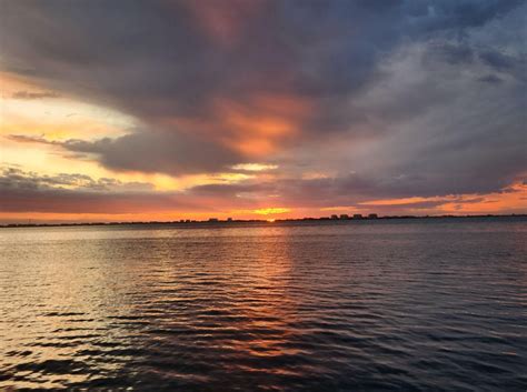 Focus On The Environment In New Version Of The Deep Sea Tutorial The