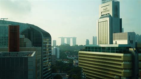 Knnclassification Using Python Scikit Learn Iris Dataset By Water