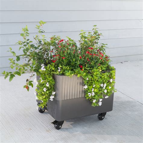 Ezcube Self Watering Rolling Planter Indoor Garden Vego Garden