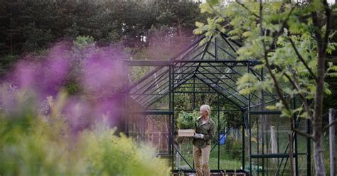 정원의 온실에 식물이 담긴 상자를 들고 있는 수석 정원사 여성 사진 Unsplash의 원예 이미지