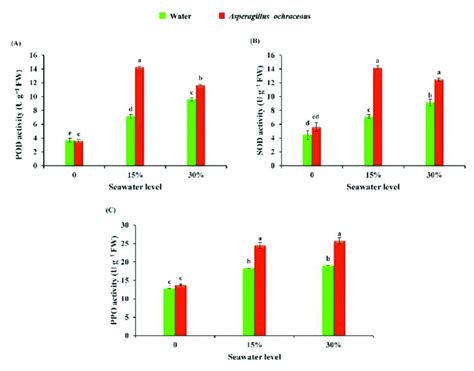 Effect Of Seawater Irrigation A Ochraceus Application And Their