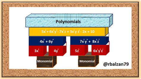 Algebraic Expressions Monomials And Polynomials Conformation
