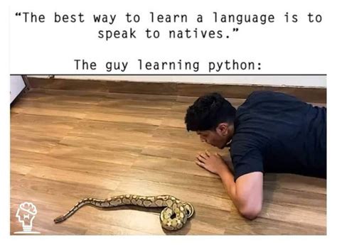 15 Funniest And Hilarious Python Coding Memes Dev Community