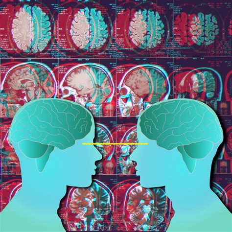 Discovery Of Hybrid Brain Cell Sheds Light On Memory And Facial