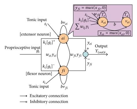 Neural Oscillator Model Proposed By Matsuoka Download Scientific Diagram