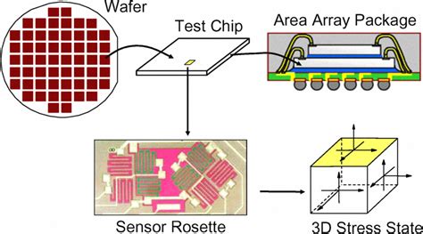 Piezoresistive Sensor Concept Piezoresistive Theorv For 111 Silicon Download Scientific