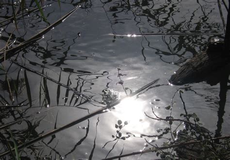 Reflection Blank Template Imgflip