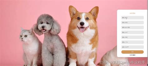 Django计算机毕业设计小区宠物管理系统python源码程序lw远程部署 Csdn博客