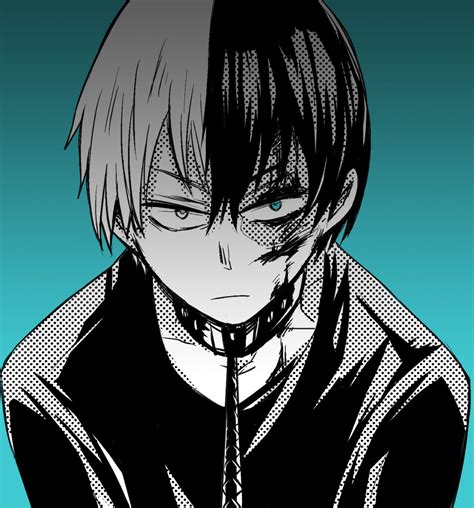 Boku No Hero Academia Todoroki Shouto Hero Boku No Hero Academia