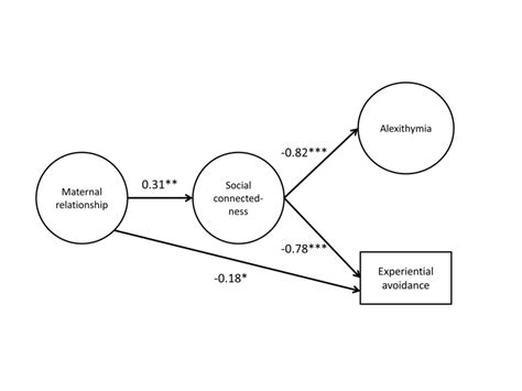 final model with standardized path coefficients download scientific