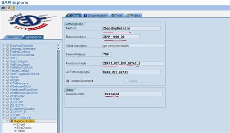 Custom Bapi Sapcodes