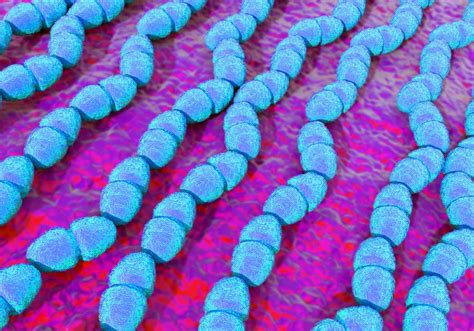 Bacteria Are Becoming Resistant To Alcohol Based Disinfectants