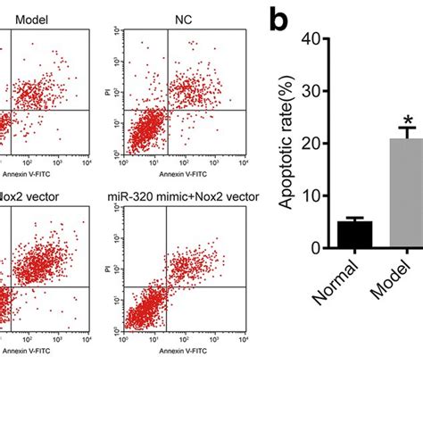 Primary Neuron Apoptosis Detection By Flow Cytometry A Flow Cytometry