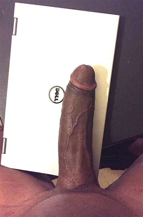 Gaint Huge Monster Cock Pic