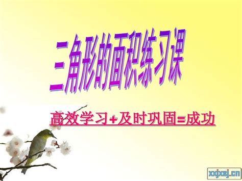 三角形的面积练习课1word文档在线阅读与下载无忧文档 三角形的面积练习课1word文档在线阅读与下载无忧文档