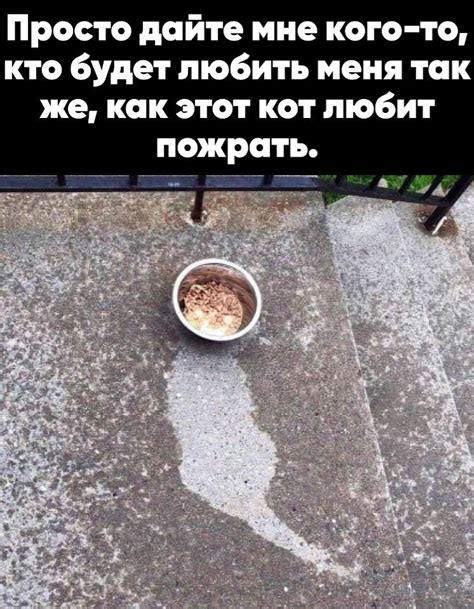 ТОП Юмор Смешные приколы Смех Позитив Мемы Фан ВКонтакте