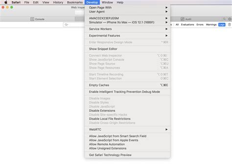 Debugging Safari 131 Web Inspector Not Attaching Simulator Stack