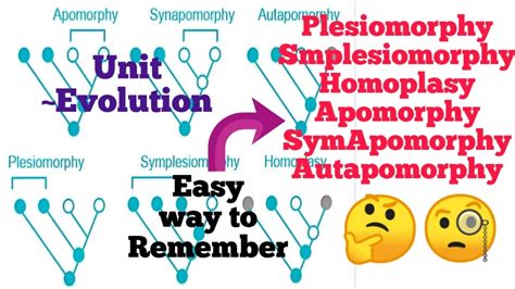 Apomorphy Synapomorphy Plesiomorphy Symplesiomorphy Homoplasy Autapomorphy Unit Evolution