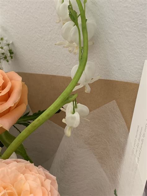 329 금낭화네츄럴꽃다발중형꽃다발파주꽃집어먼스플라워 네이버 블로그