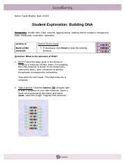 Exploring DNA Structure And Replication Building Observing Course Hero