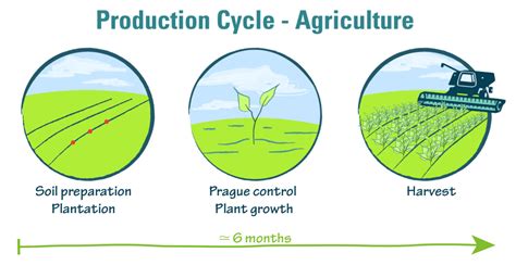 Fertile Ground For Lean Seeds