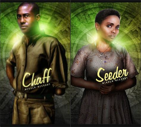 Catching Fire Chaff Poster