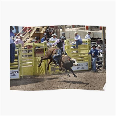 Bull Riding 2 Pikes Peak Or Bust Rodeo Poster For Sale By Hedgie6 Redbubble