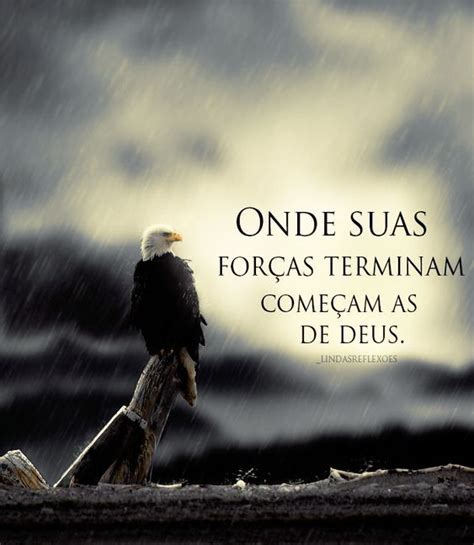 Bald Eagle Perched On A Tree Branch Frases Fortes De Deus Frases