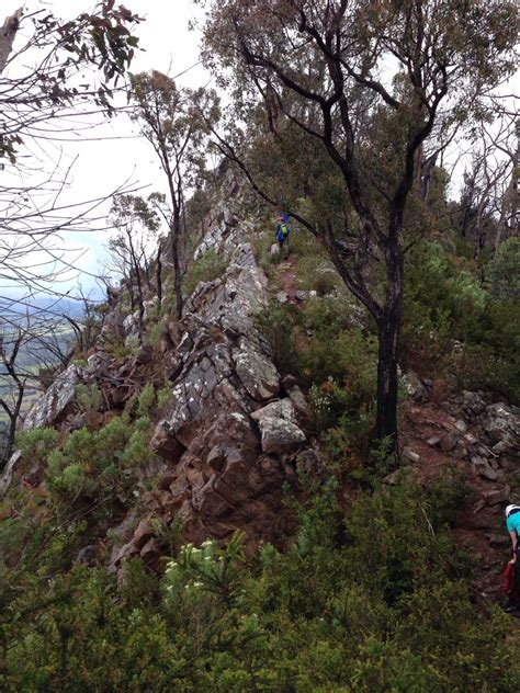 Cathedral Range Ridgeline Circuit Hike 18km Cathedral Range State
