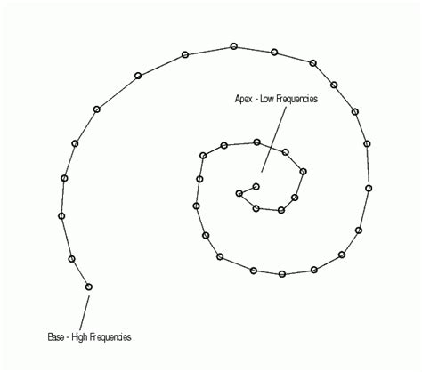 Cochlear Implant Speech Processor Matlab And Simulink
