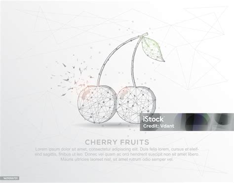 벚꽃 과일은 추상적인 매쉬 라인과 구도를 깨진 부분 삼각형 모양 및 흩어져 있는 점의 형태로 디지털 방식으로 그립니다 0명에