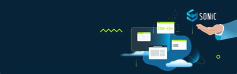 Developing Custom Network Functionality Using Sonic Codilime
