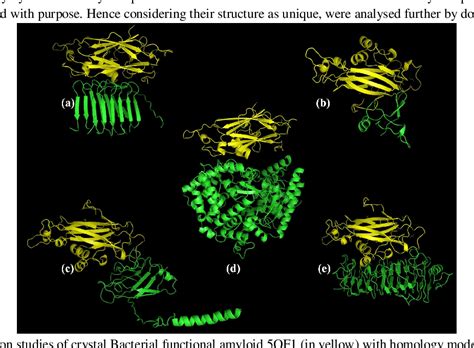 Figure 1 From In Silico Analysis Of Bacterial Functional Amyloids And Their Interactions