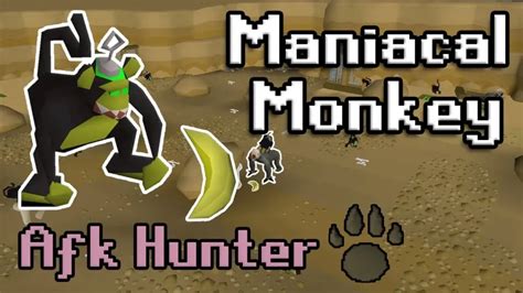 How To Get To Maniacal Monkeys In Osrs Osrs Money Making Guide